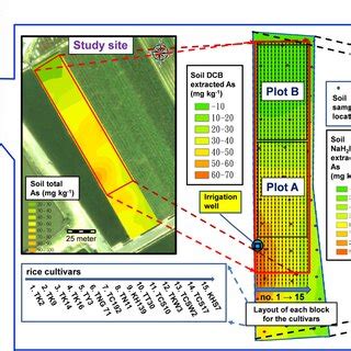 Location Map Soil Sampling Configuration And Spatial Distributions Of