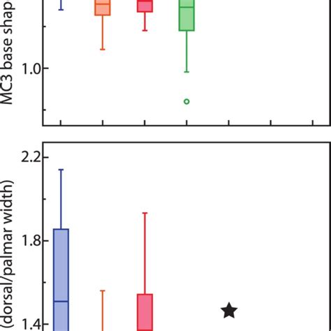 Metacarpal Base And Heads With Average Torsion Values Metacarpal Head Download Scientific Metacarpal Base And Heads With Average Torsion Values Metacarpal Head Download Scientific
