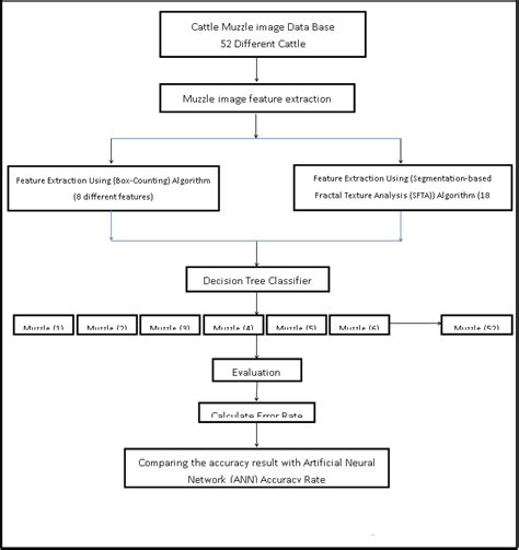 The Proposed Cattle Classification Model Based Of Decision Tree