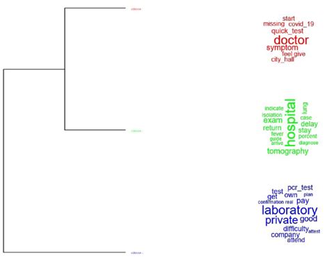 dendrogram of the descending hierarchical classification rio de
