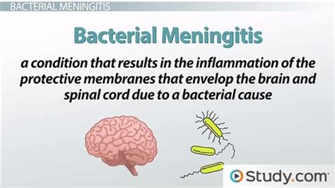 Bacterial Meningitis Causes And How Its Spread My Xxx Hot Girl