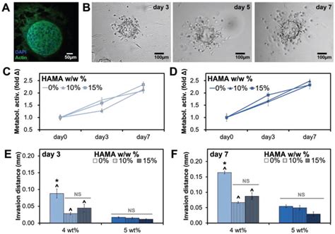 The Combined Influence Of Hydrogel Stiffness And Matrix Bound