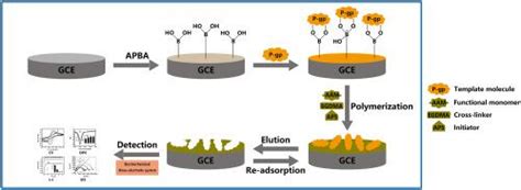 A Molecularly Imprinted Electrochemical Sensor Based On Surface