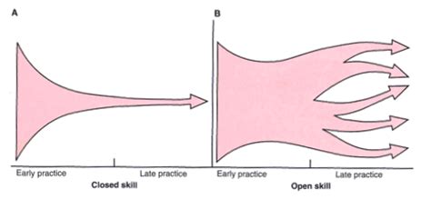 Motor Learning Theories Flashcards Quizlet