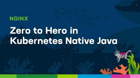 donald lutz on linkedin zero to hero in kubernetes native java