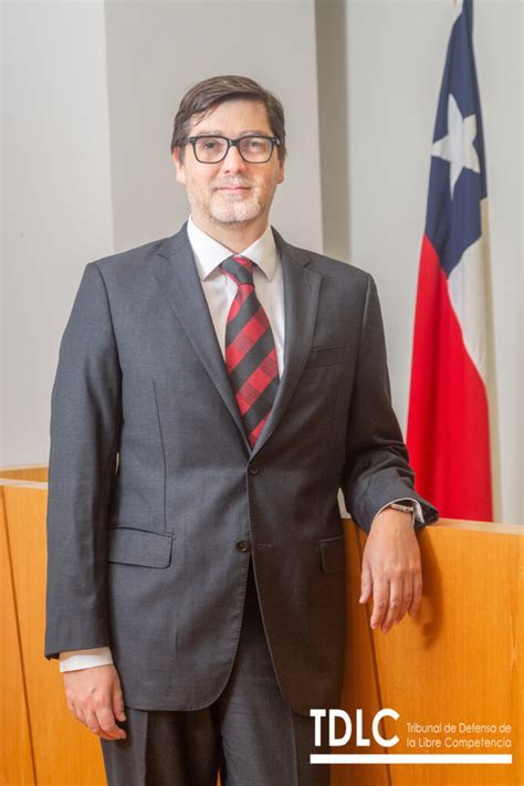 Integración Actual Tribunal De Defensa De La Libre Competencia