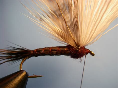 Tilt Shoot Iso Dry Isonychia Fly Pattern How To Tie