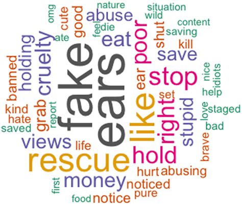 Wordcloud Illustrating The Most Frequently Occurring Words In The