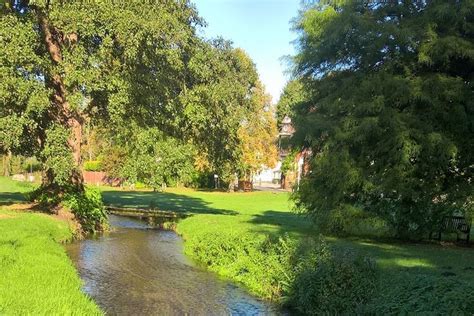 River Tillingbourne Surrey River Surrey England