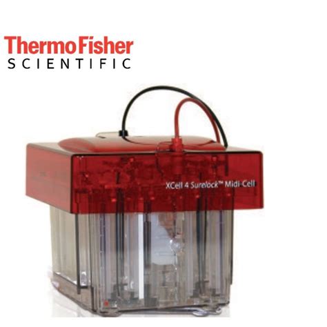 Protein Gel Electrophoresis Xcell4 Surelock™ Midi Cell