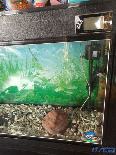二手水族箱低价出售 低价出售 低价出售图片 大山谷图库