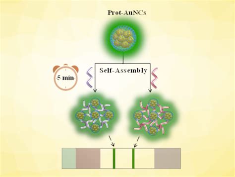 A Fluorescence Signal Turn On Lateral Flow Assay For Ultrasensitive Small Molecule Detection