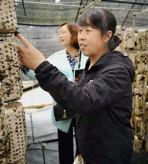 围场满族蒙古族自治县人民政府 工作部署 县委党校下乡调研