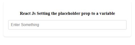 React Js Set Placeholder On Input Field