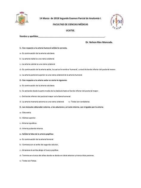 Segundo Examen Parcial De Anatomía I Pdf Vértebra Abdomen