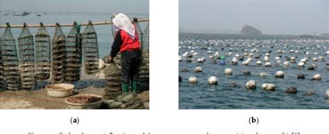 Figure 1 From Combining Segmentation Network And Nonsubsampled Contourlet Transform For