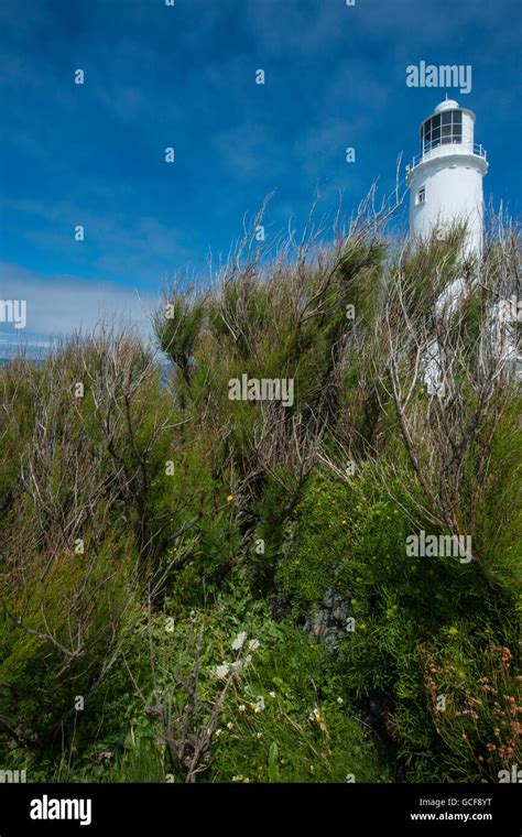 Cornwall Trevose Head Lighthouse Stock Photo Alamy