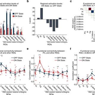 Comparison Of Dynamic Functional Connectivity Patterns In Stimulation Download Scientific