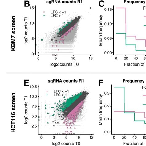 Screening Data Show An Asymmetric Distribution Of Grna Abundance Fold Download Scientific
