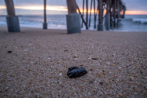 Selective Focus In Photography And How To Use It Well