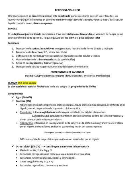 Tejido Sanguineo Resumen Pdf Sangre Hematopoyesis
