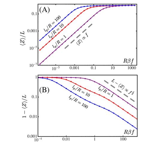 A Average Chain Extension Eq 5 As A Function Of F With R 1 Held