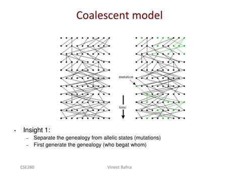 Ppt Coalescent Theory Powerpoint Presentation Free Download Id 2519090