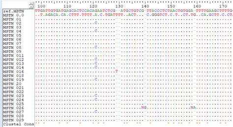 The Bioedit Program Used To Alignment The 3rd Exon Of Mstn Gene All Download Scientific