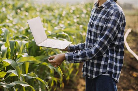 Asian Woman And Man Farmer Working Together In Organic Hydroponic Salad