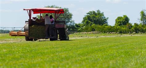 Laying Sod Heres How To Measure How Much Sod You Need Bethel Farms