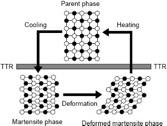 Shape Memory Alloys Reflecting On The Impacts Of Science Nanotechnology Library SCOTCH At