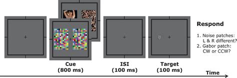 Figure 1 From A Gender And Sexual Orientation Dependent Spatial