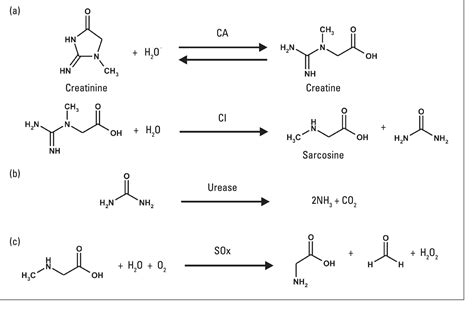 Electrochemical Creatinine Biosensors Analytical Chemistry