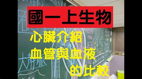 國一上生物 4 3 動物體內的運輸 上 心臟構造介紹血管與血液完整比較國一生物 108課綱 YouTube
