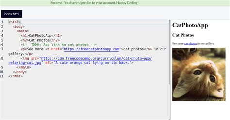 Learn Html By Building A Cat Photo App Step 14 Html Css The Freecodecamp Forum