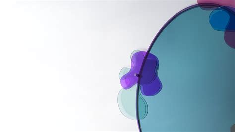 Nepenthes Mirror By Another Human STIRpad