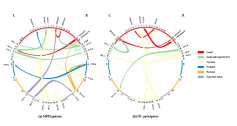 The Overlapping Connections Between The Directed Networks Of 5 Sites Of