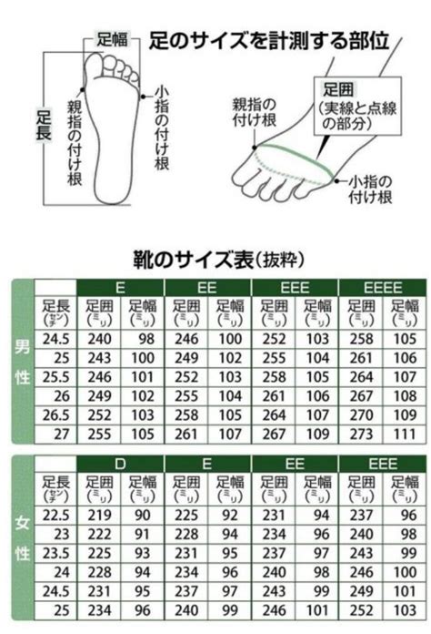 正しい足のサイズの測り方 うさうさ日記