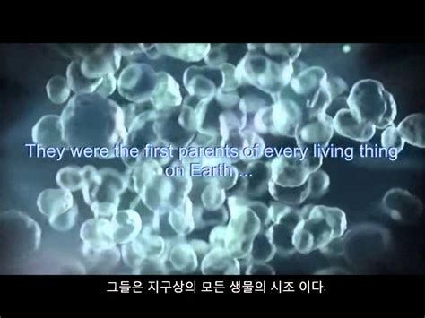 박테리아미생물 이엠생명과학연구원 이엠생명과학연구소 Youtube