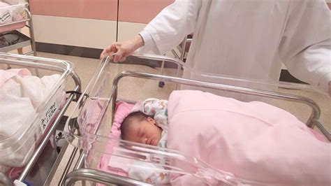 有仔趁嫩生知易行難 施永青 灼見名家