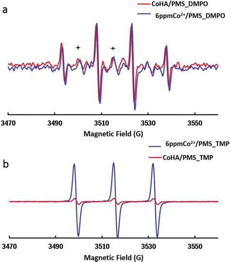 Epr Tests On So4 À Oh A And 1 O 2 B 1 G L À1 Coha C 0 24 G L À1
