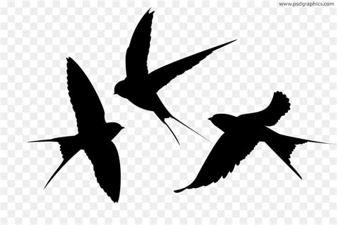 House Sparrow Bird Drawing Tattoo Sparrow Png Download 800629