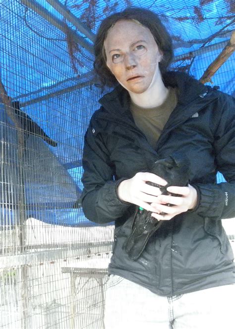 When Crows Attack Animal Behaviour Earth Touch News