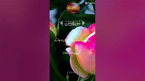 Shorts Islamic Religion Quran Allah Mohammad Mashallah Ytshorts