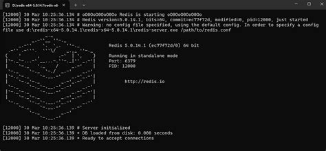 对redis的安装及使用，idea上的配置 保姆级教程idea Redis Csdn博客
