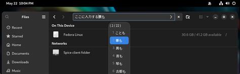Renaming In Nautilus Doesnt Allow Ime Input Rgnome