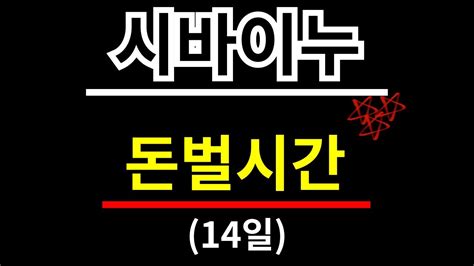 시바이누 코인 지금부터 14일간은 돈벌시간입니다 다른거 하지말고 집중하세요 시바이누전망 도지코인 비트코인 이더리움 코인전망 Youtube