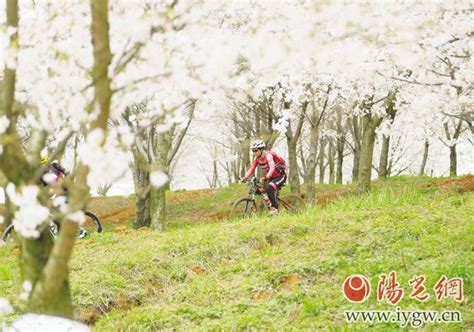 【全民乱拍】活力 美图 阳光网阳光报中华人民共和国互联网新闻信息许可证服务编号：61120190002 阳光报社官方网站