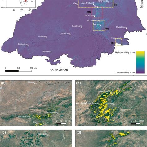 Scale‐integrated Resource Selection Function Srsf Predicting