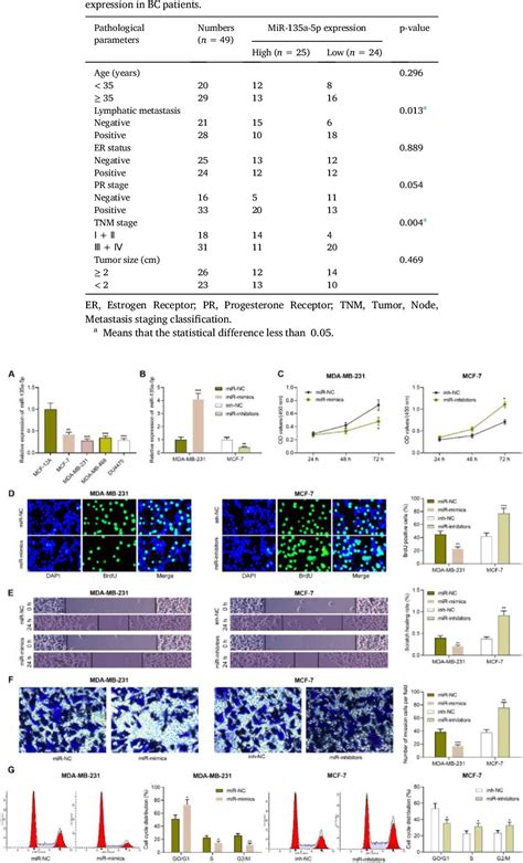 Table 1 From Mir 135a 5p Suppresses Breast Cancer Cell Proliferation